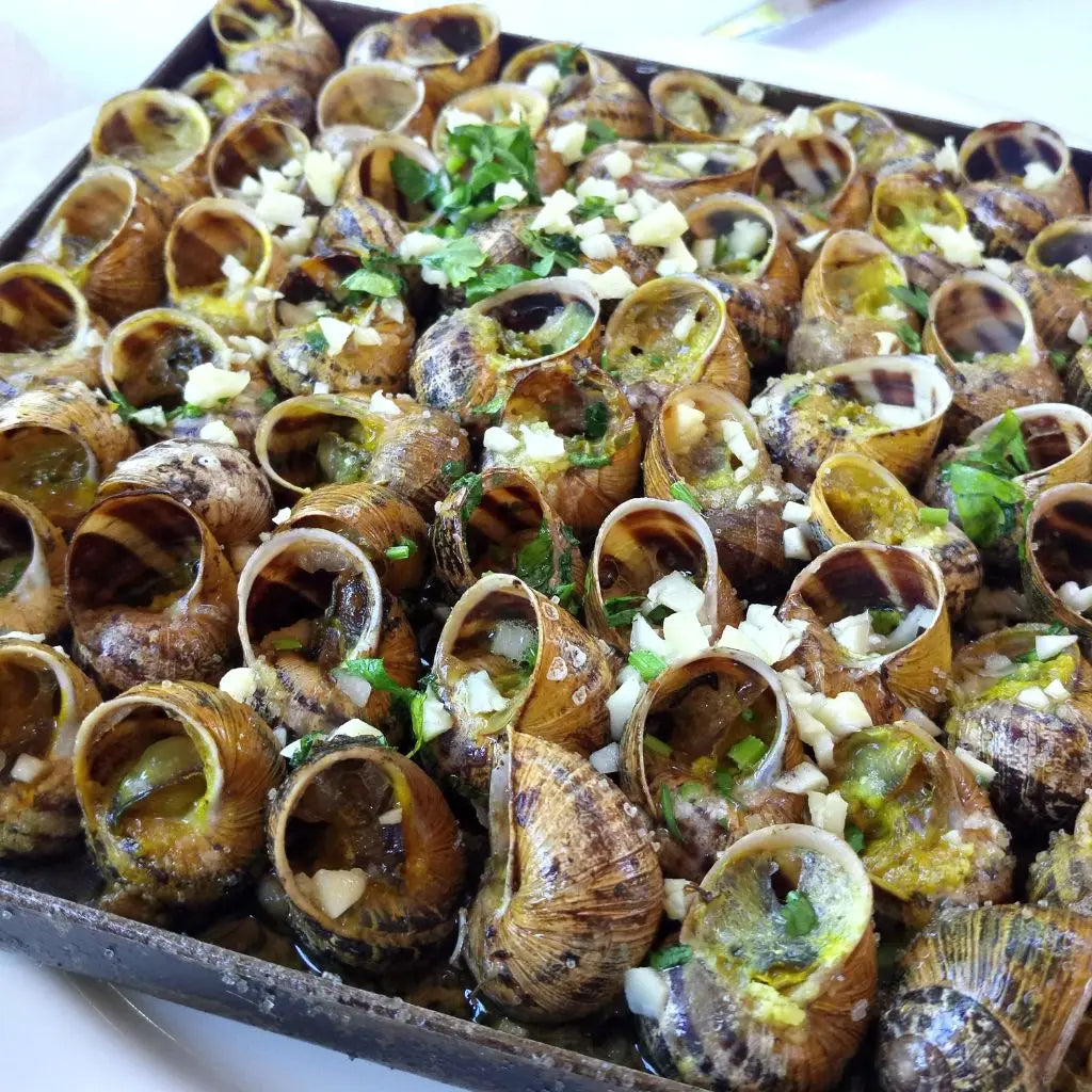 Lumache al Forno: Ricetta Facile e Gustosa Passo-Passo – La Lumaca Bianca