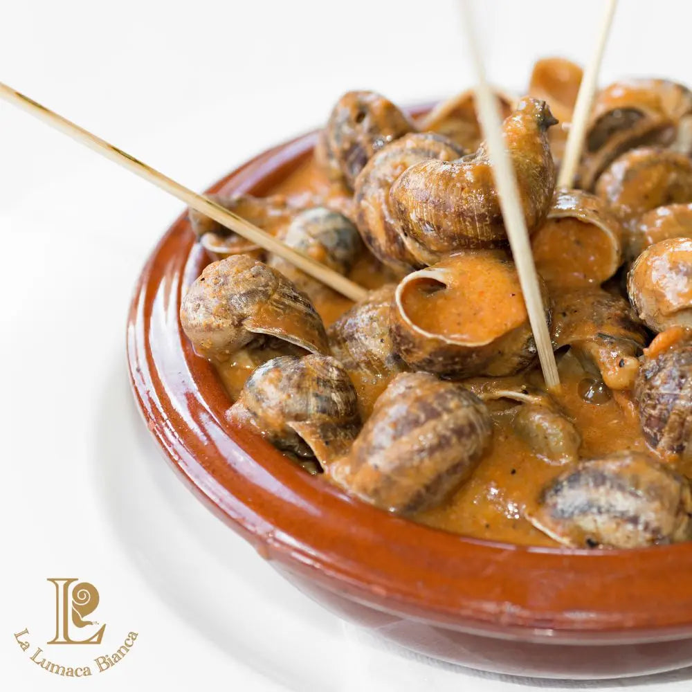 Lumache alla Provenzale: Ricetta Francese con Erbe Aromatiche – La ...