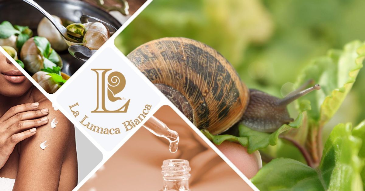 Vendita Lumache e cosmetici con bava di lumaca – La Lumaca Bianca